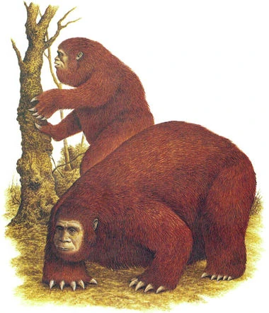 Slothman | Fiction Taxonomy Wiki | Fandom