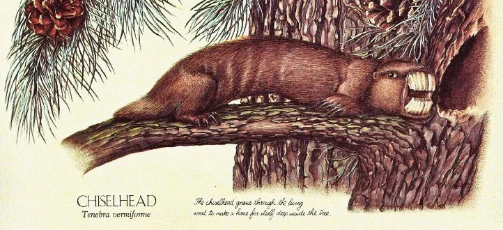 Chiselhead | Fiction Taxonomy Wiki | Fandom