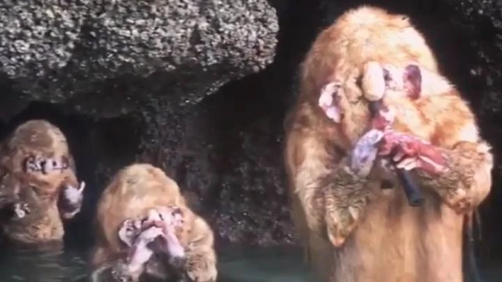 Chay Na Men | Fiction Taxonomy Wiki | Fandom