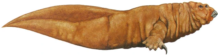 Glub | Fiction Taxonomy Wiki | Fandom