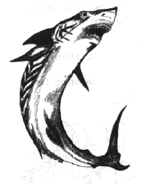 Diamond Shark | Fiction Taxonomy Wiki | Fandom