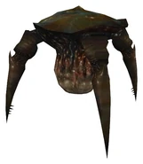 Standard Headcrab | Fiction Taxonomy Wiki | Fandom
