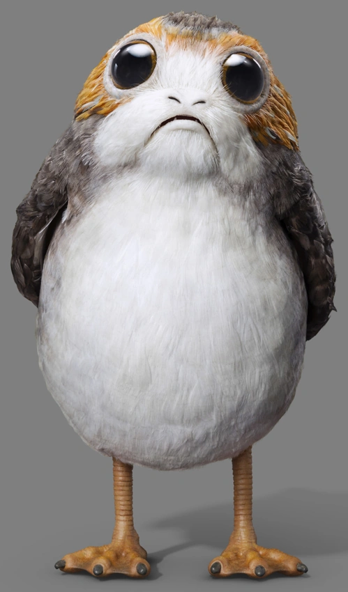 Porg | Fiction Taxonomy Wiki | Fandom