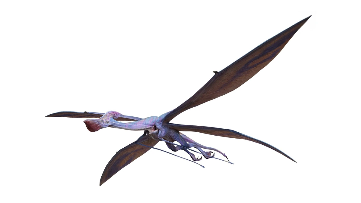 Great Western Tetrapteron | Fiction Taxonomy Wiki | Fandom