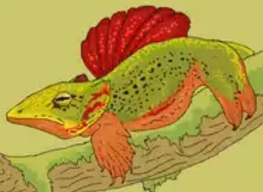 Red-Backed Tree Tribbet | Fiction Taxonomy Wiki | Fandom