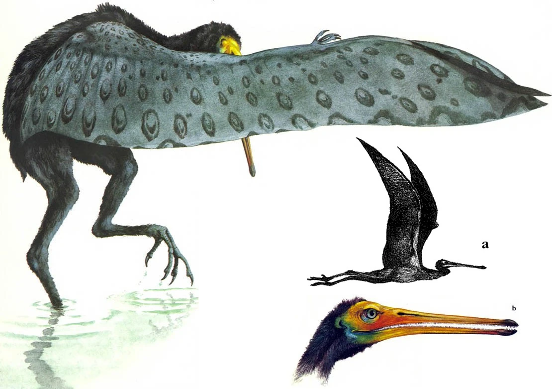 Paraso | Fiction Taxonomy Wiki | Fandom