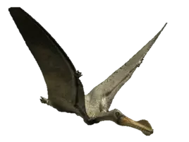 Ornithocheirus mesembrinus | Fiction Taxonomy Wiki | Fandom