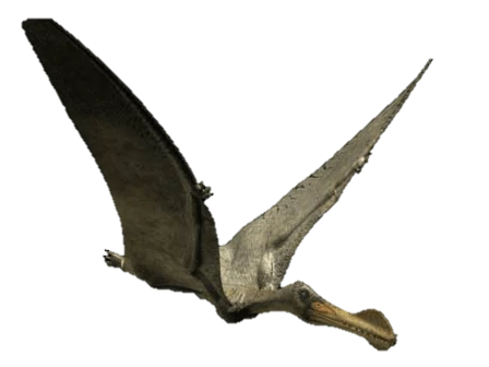 Ornithocheirus mesembrinus | Fiction Taxonomy Wiki | Fandom