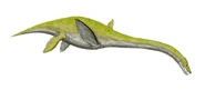 Loch Ness Monster | Fiction Taxonomy Wiki | Fandom