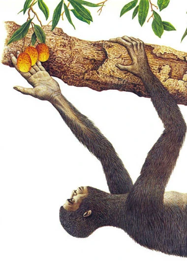 Tree-dweller | Fiction Taxonomy Wiki | Fandom