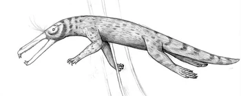 Longnosed fangbill | Fiction Taxonomy Wiki | Fandom