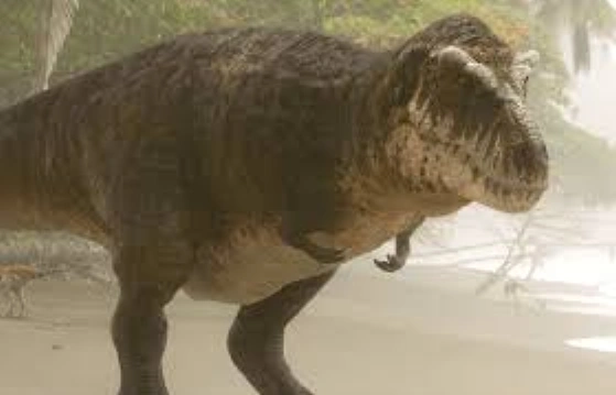 Tyrannosaurus rex robusta | Fiction Taxonomy Wiki | Fandom
