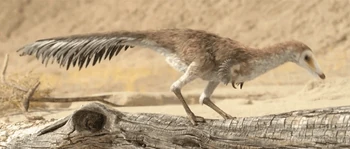 Mononykus tyto | Fiction Taxonomy Wiki | Fandom