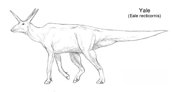 Yale | Fiction Taxonomy Wiki | Fandom