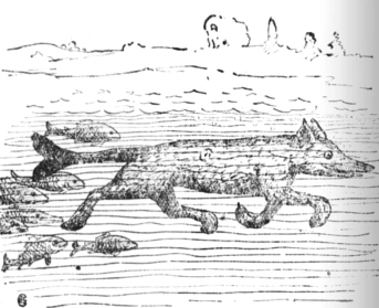 Fish-Fox | Fiction Taxonomy Wiki | Fandom