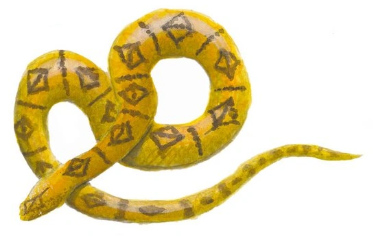 Forest monarch | Fiction Taxonomy Wiki | Fandom