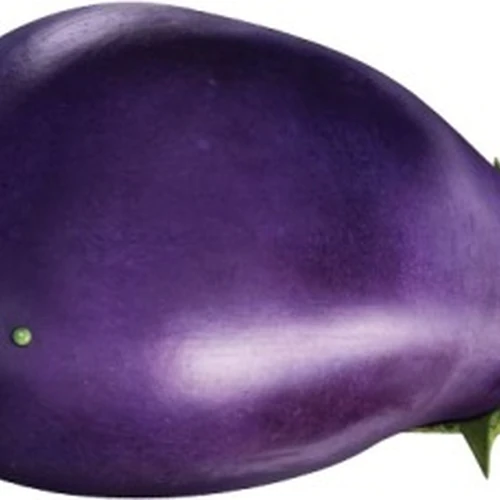 Cloudy With A Chance Of Meatballs 2 Eggplanatee