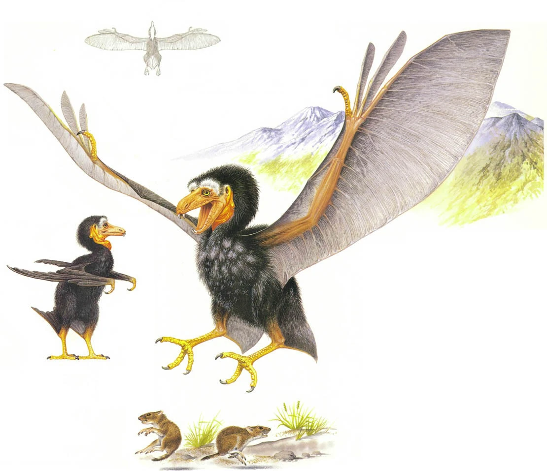 Harridan | Fiction Taxonomy Wiki | Fandom