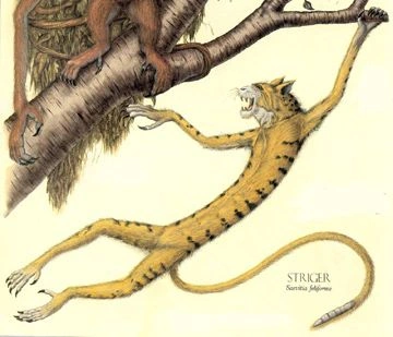 Striger | Fiction Taxonomy Wiki | Fandom