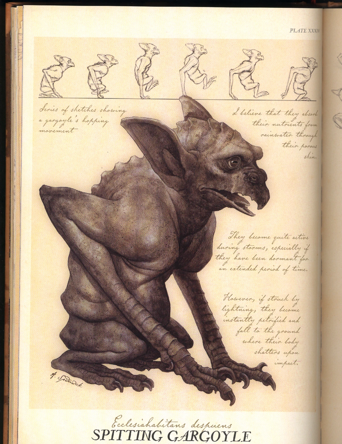 Spitting gargoyle | Fiction Taxonomy Wiki | Fandom