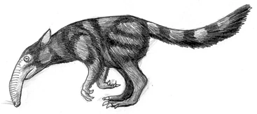 Longnose-ephru | Fiction Taxonomy Wiki | Fandom