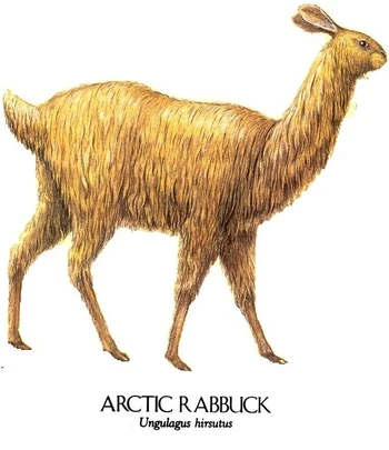 Arctic Rabbuck | Fiction Taxonomy Wiki | Fandom