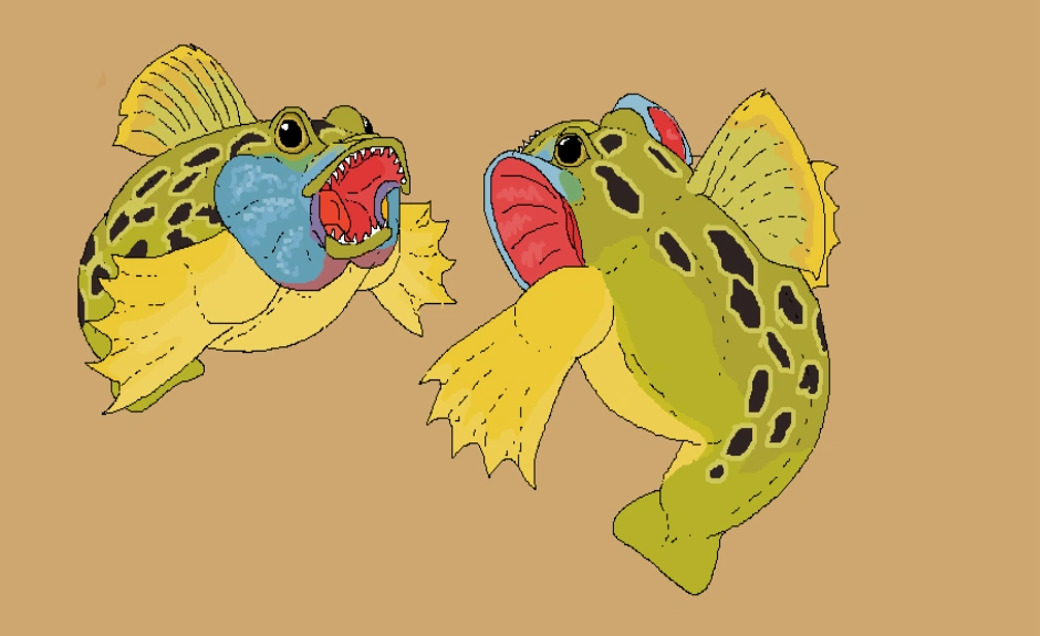 Spotted Mudwicket | Fiction Taxonomy Wiki | Fandom