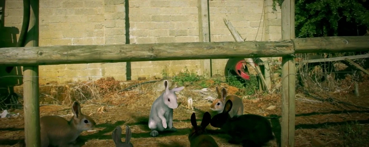 Killer Rabbits (Cute Little Buggers) | Fiction Taxonomy Wiki | Fandom