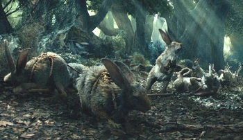 Rhosgobel rabbit | Fiction Taxonomy Wiki | Fandom
