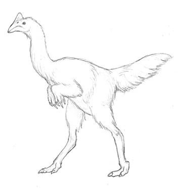 Johnny deere | Fiction Taxonomy Wiki | Fandom