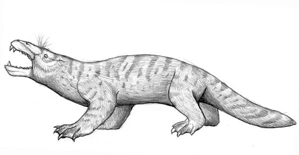 Powerpus | Fiction Taxonomy Wiki | Fandom