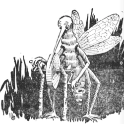 subphylum hexapoda examples