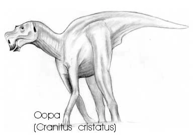 Oopa | Fiction Taxonomy Wiki | Fandom