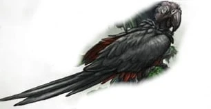 Great Carrion Parrot | Fiction Taxonomy Wiki | Fandom