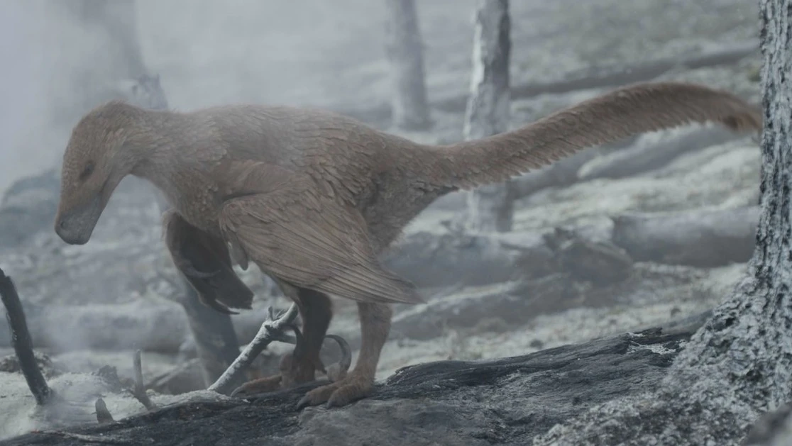 Category:Universe: Prehistoric Planet | Fiction Taxonomy Wiki | Fandom