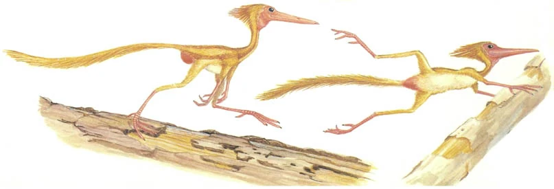 Footle | Fiction Taxonomy Wiki | Fandom