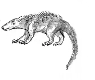 Bristly nuffler | Fiction Taxonomy Wiki | Fandom