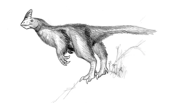 Himalaya mountain-strek | Fiction Taxonomy Wiki | Fandom