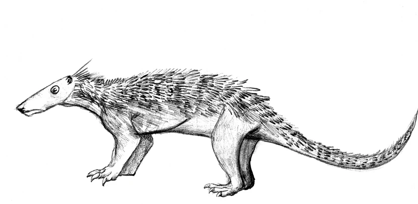 Spiny nuffler | Fiction Taxonomy Wiki | Fandom