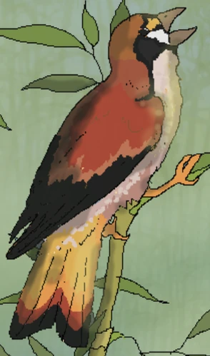 Black-Cheeked Canary | Fiction Taxonomy Wiki | Fandom