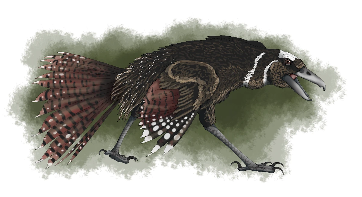 Butcherraptor | Fiction Taxonomy Wiki | Fandom