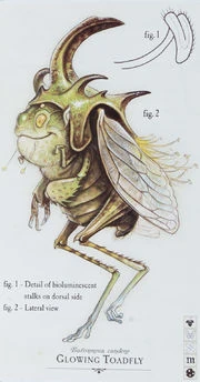 Glowing toadfly | Fiction Taxonomy Wiki | Fandom