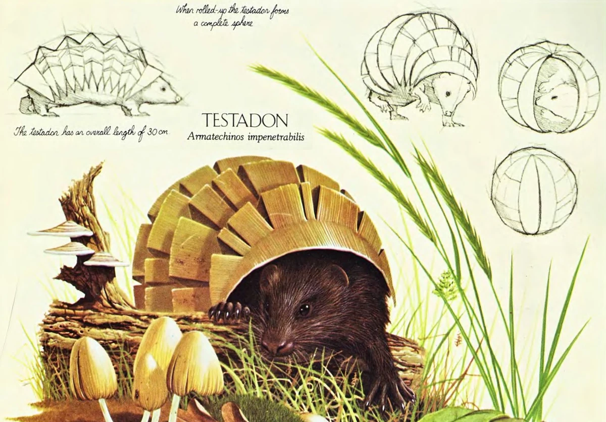 Testadon | Fiction Taxonomy Wiki | Fandom
