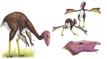 Flarp | Fiction Taxonomy Wiki | Fandom