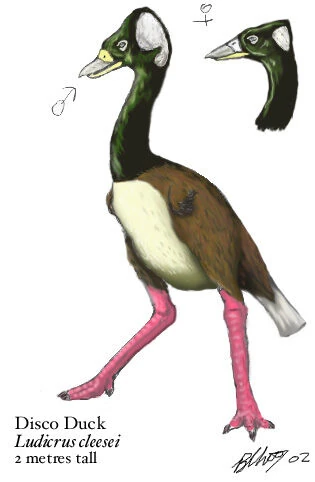 Disco Duck | Fiction Taxonomy Wiki | Fandom