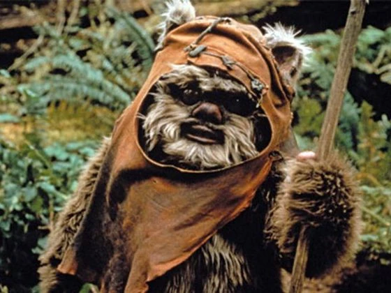 Ewok | Fiction Taxonomy Wiki | Fandom