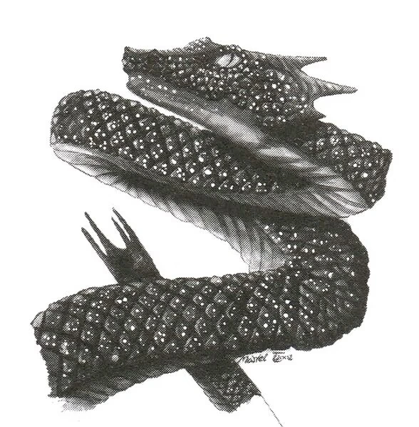 Star adder | Fiction Taxonomy Wiki | Fandom