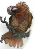 Red Carrion Parrot | Fiction Taxonomy Wiki | Fandom