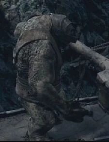 Mountain-troll | Fiction Taxonomy Wiki | Fandom