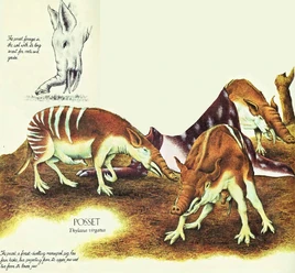Posset | Fiction Taxonomy Wiki | Fandom